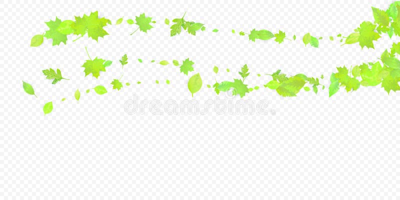 Leaves Falling Spring Flying Foliage Green Leaf Stock Vector ...