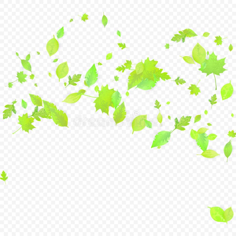 Leaves Falling Spring Flying Foliage Green Leaf Stock Vector ...