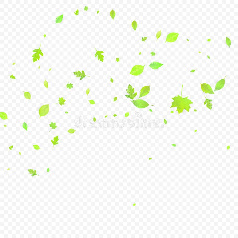 Leaves Falling Spring Flying Foliage Green Leaf Stock Vector ...