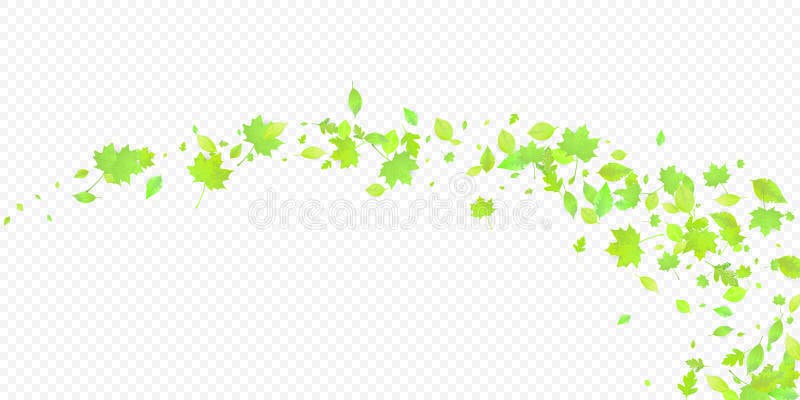 Leaves Falling Spring Flying Foliage Green Leaf Stock Illustration ...