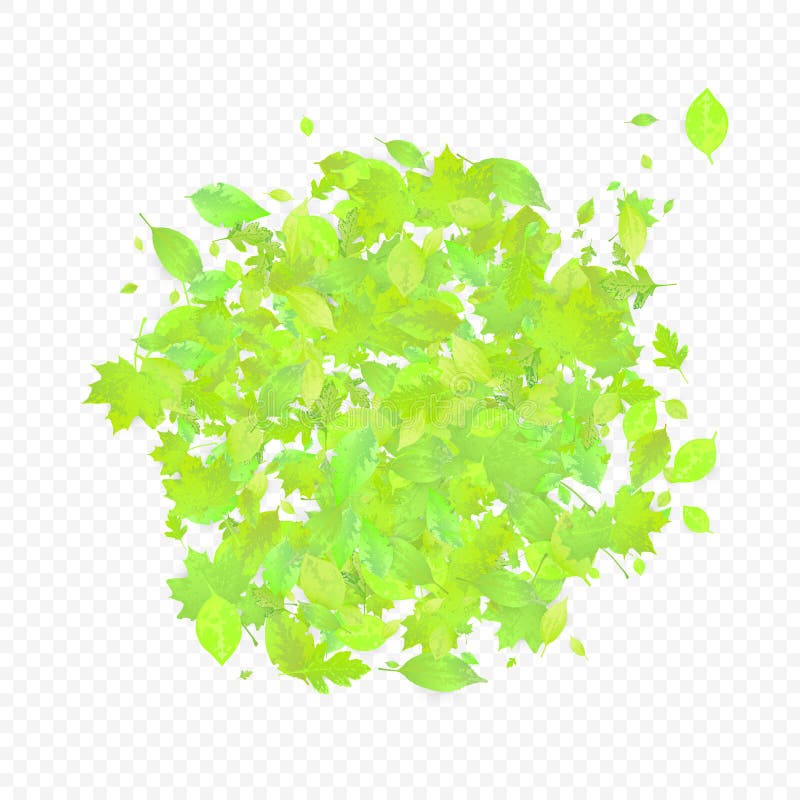 Leaves Falling Spring Flying Foliage Green Leaf Stock Illustration ...