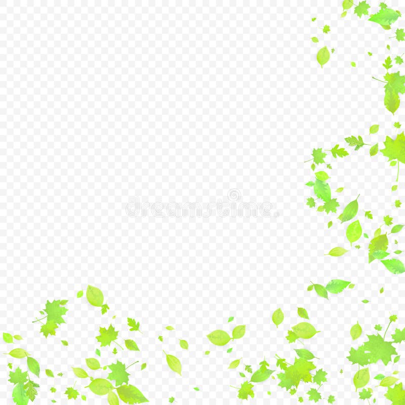 Leaves Falling Spring Flying Foliage Green Leaf Stock Illustration ...