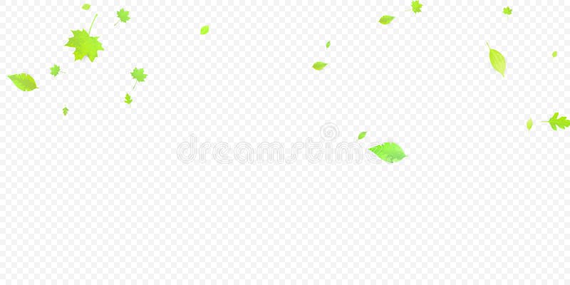 Leaves Falling Spring Flying Foliage Green Leaf Stock Illustration ...