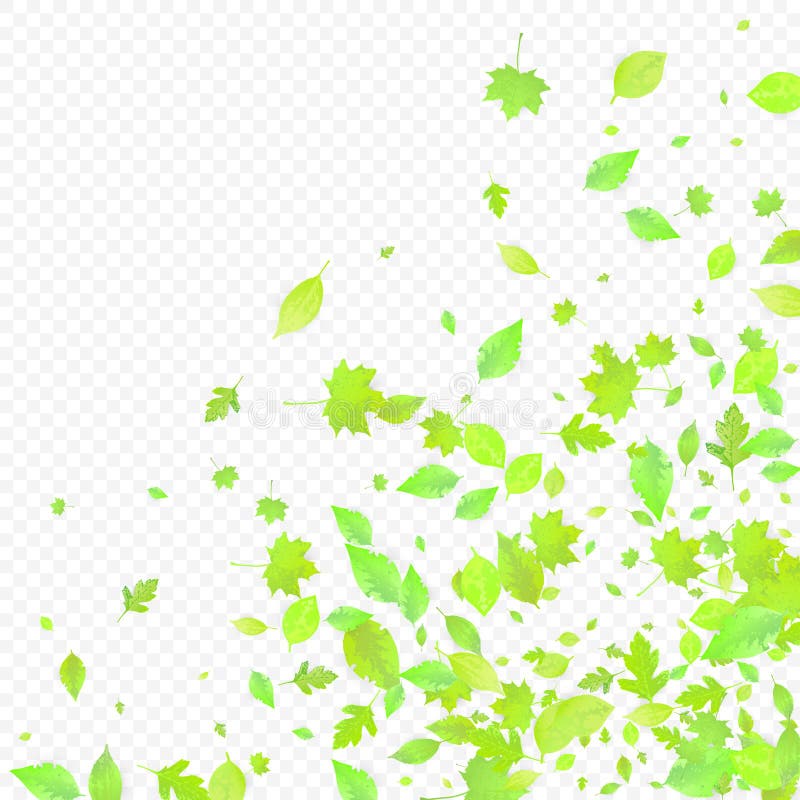 Leaves Falling Spring Flying Foliage Green Leaf Stock Illustration ...