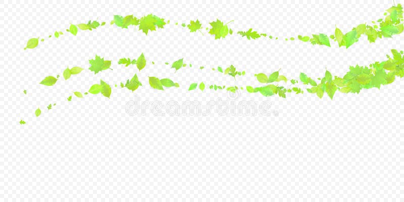 Leaves Falling Spring Flying Foliage Green Leaf Stock Vector ...