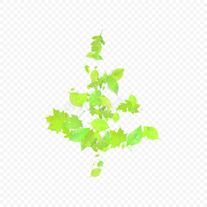 Leaves Falling Spring Flying Foliage Green Leaf Stock Vector ...