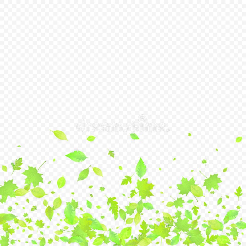 Leaves Falling Spring Flying Foliage Green Leaf Stock Vector ...