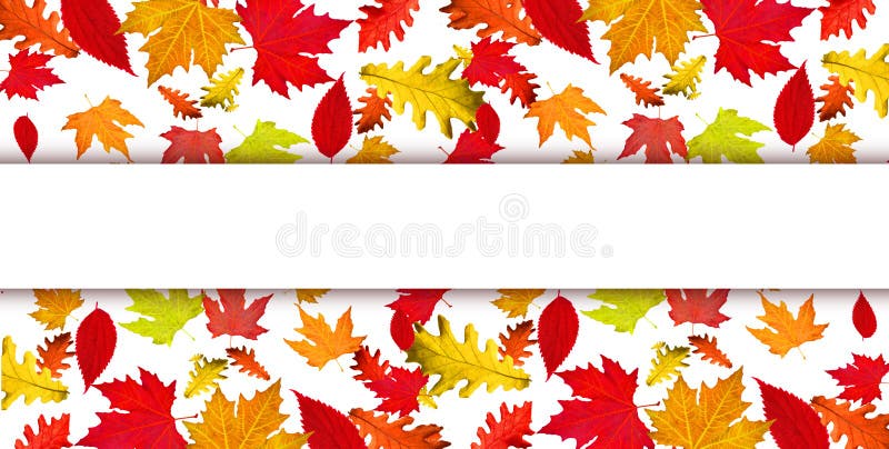 Leaves Falling Strip Autumn Background Stock Photo - Image of isolated ...