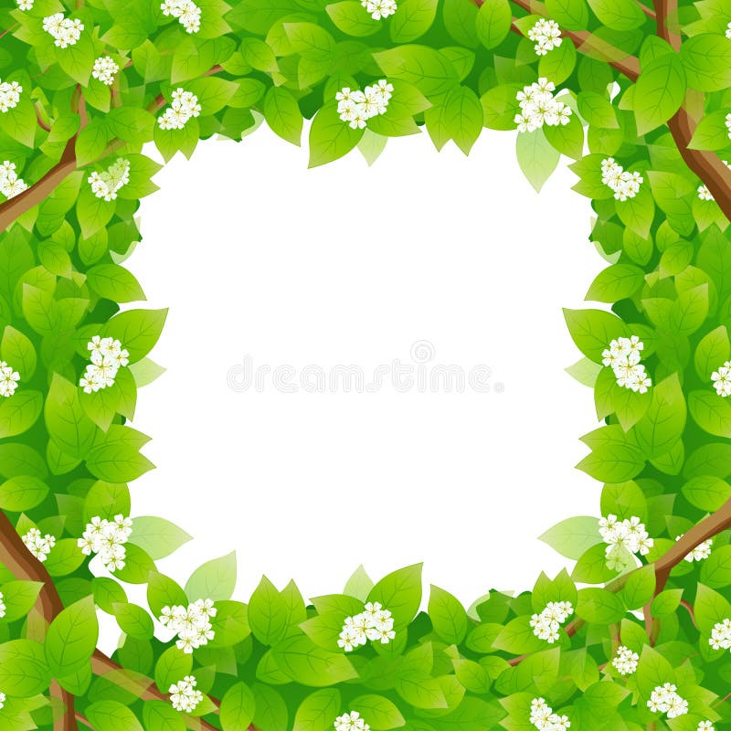 Leaves Framing a Message Area Stock Vector - Illustration of trunk ...