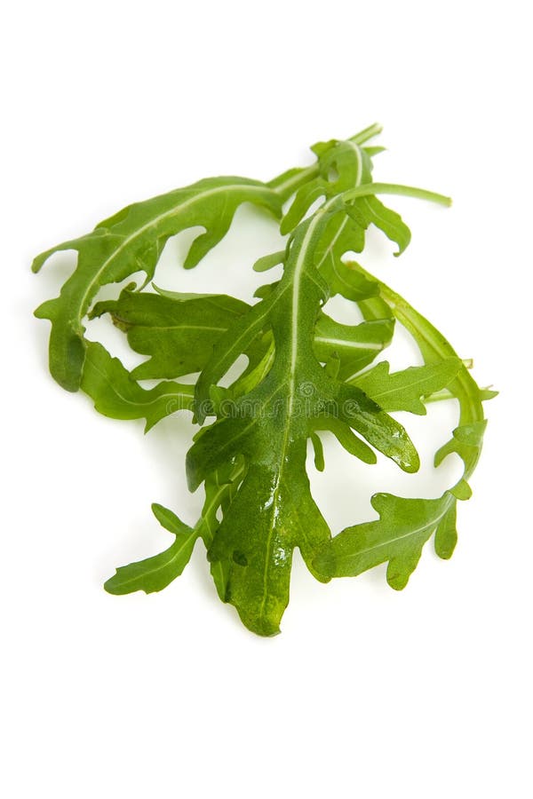 Leaves of Fresh Ruccola Lettuce Stock Photo - Image of vitamins, leaves ...