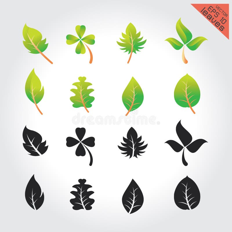 Leaves Green Design Set Elements this Image is a Vector Illustration ...