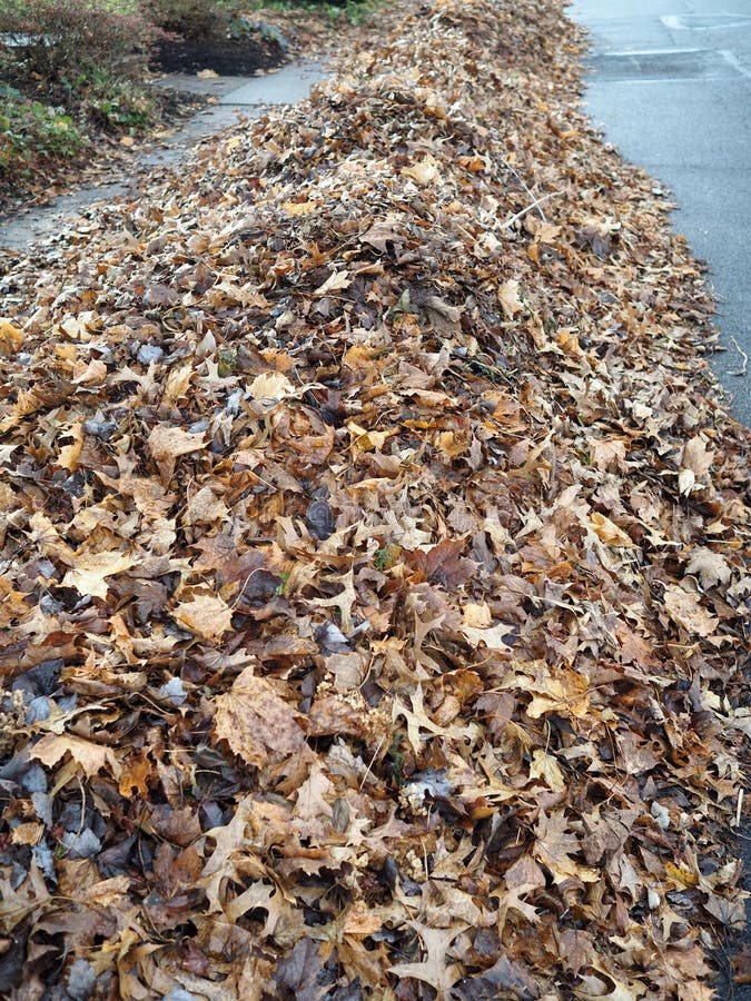 Raked Pile Gates Hold A Large Pile In Place During Construction Of A ...
