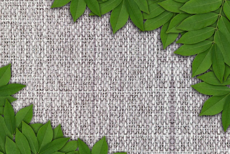 Leaves on Hemp Background, Leaves Frame. Stock Image - Image of grunge ...