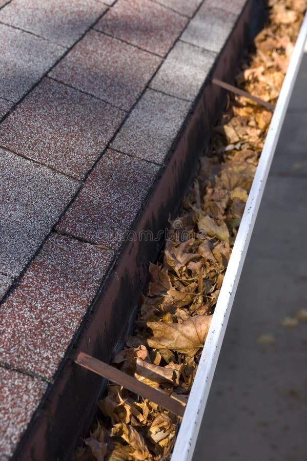 Leaves in House Gutter - Vertical View Stock Image - Image of house ...