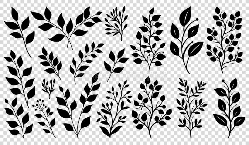 Leaves Icons Set - Different Vector Illustrations Isolated on ...