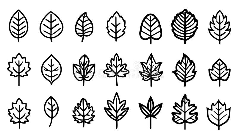 Leaves Icons Set - Different Vector Illustrations Isolated on White ...