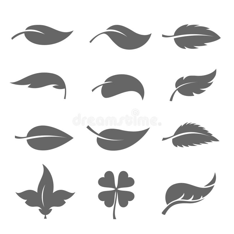 Leaves icons set stock vector. Illustration of maple - 71814017