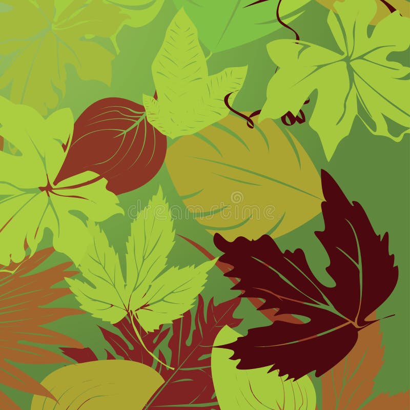 Leaves illustration stock vector. Illustration of isolated - 11451462