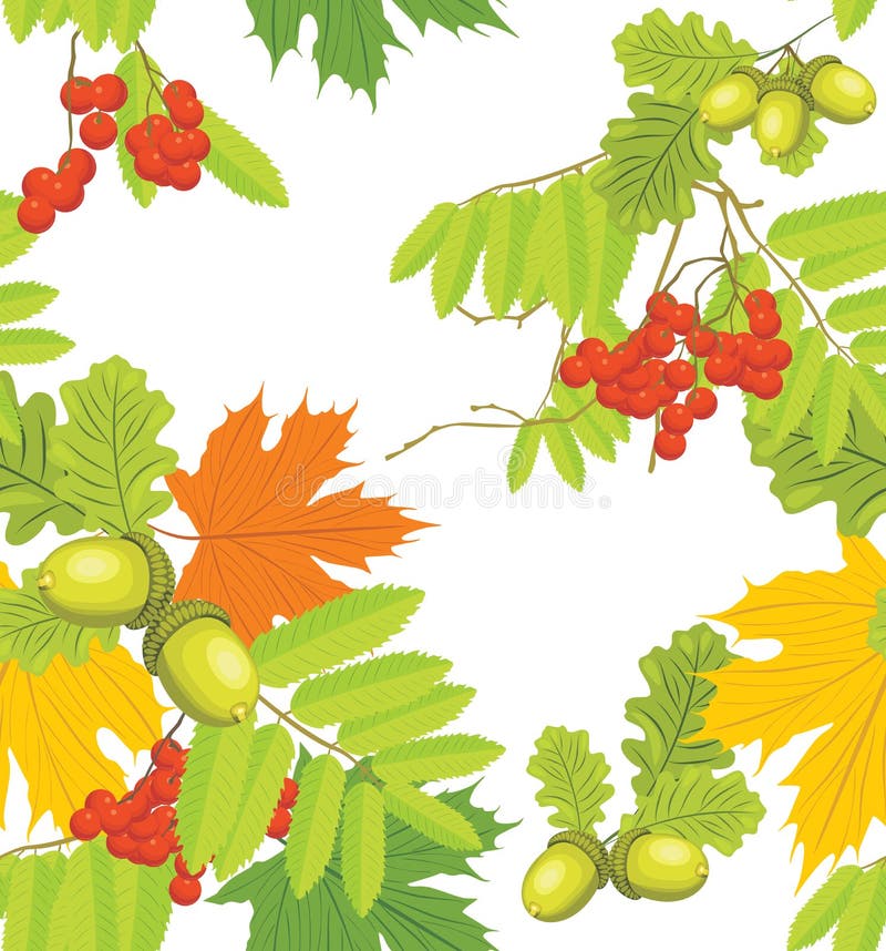 Seamless Pattern with Rowan Leaves and Berries. Stock Vector ...