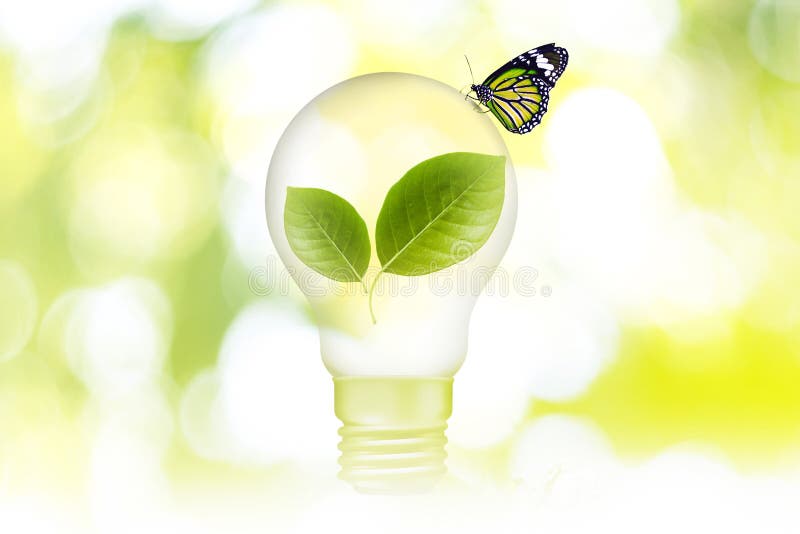 Leaf in Lamp stock image. Image of power, ecology, concepts - 115751795