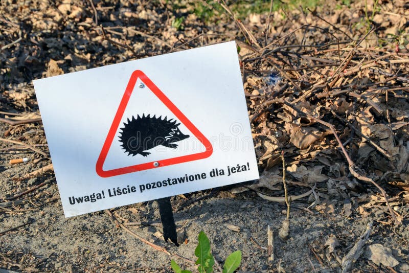 Hedgehog sign stock photo. Image of roadside, road, warning - 32067916