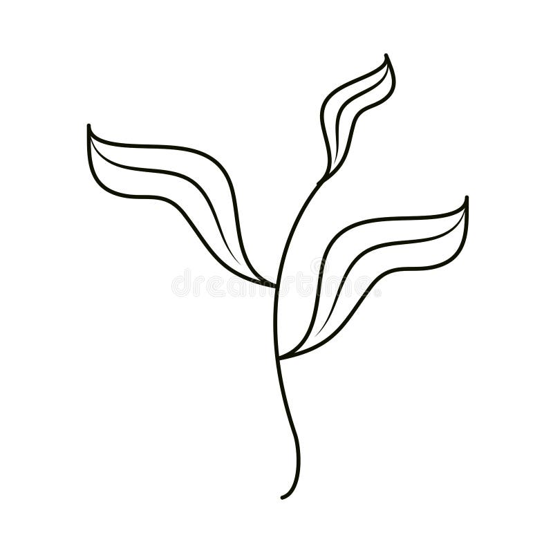 Leaves Line Icon Style, Curly Leaves Nature Decoration Stock Vector ...