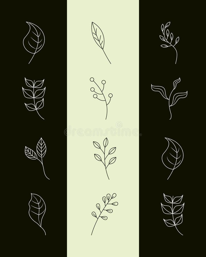 Leaves Line Icon Style, Foliage and Branches Decoration Banners Stock ...
