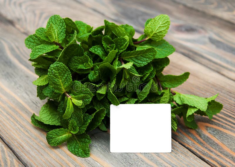 Leaves of mint with label stock image. Image of health - 49738377