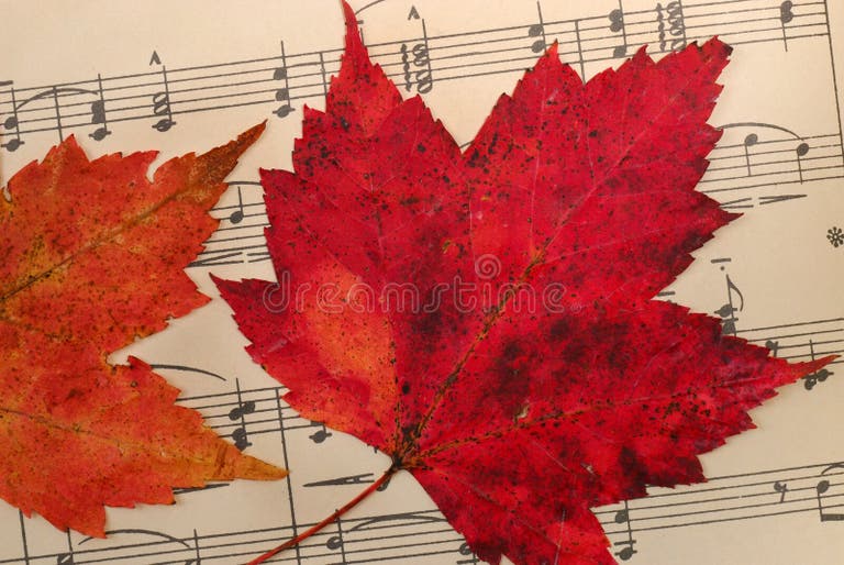 Music Notes Maple Leaves Stock Photos - Free & Royalty-Free Stock ...