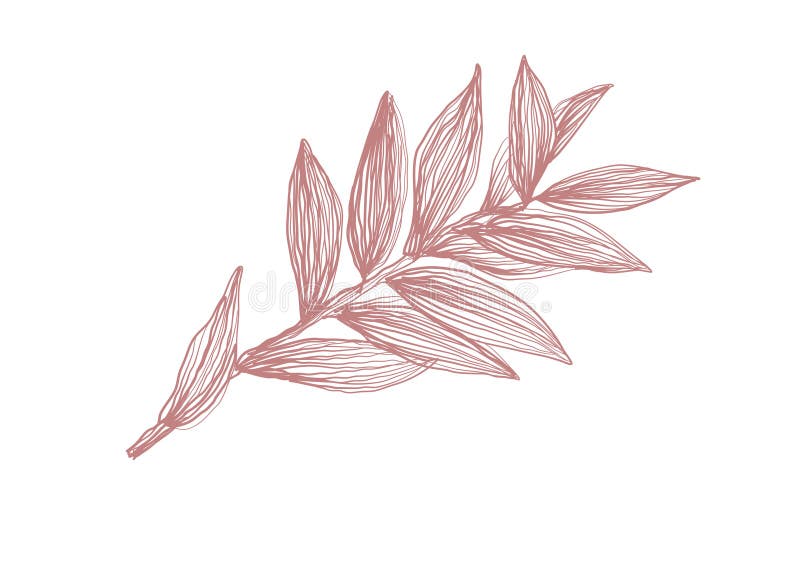 Leaves Olive Leaf Vector Illustration Collection Calligraphy Posters ...