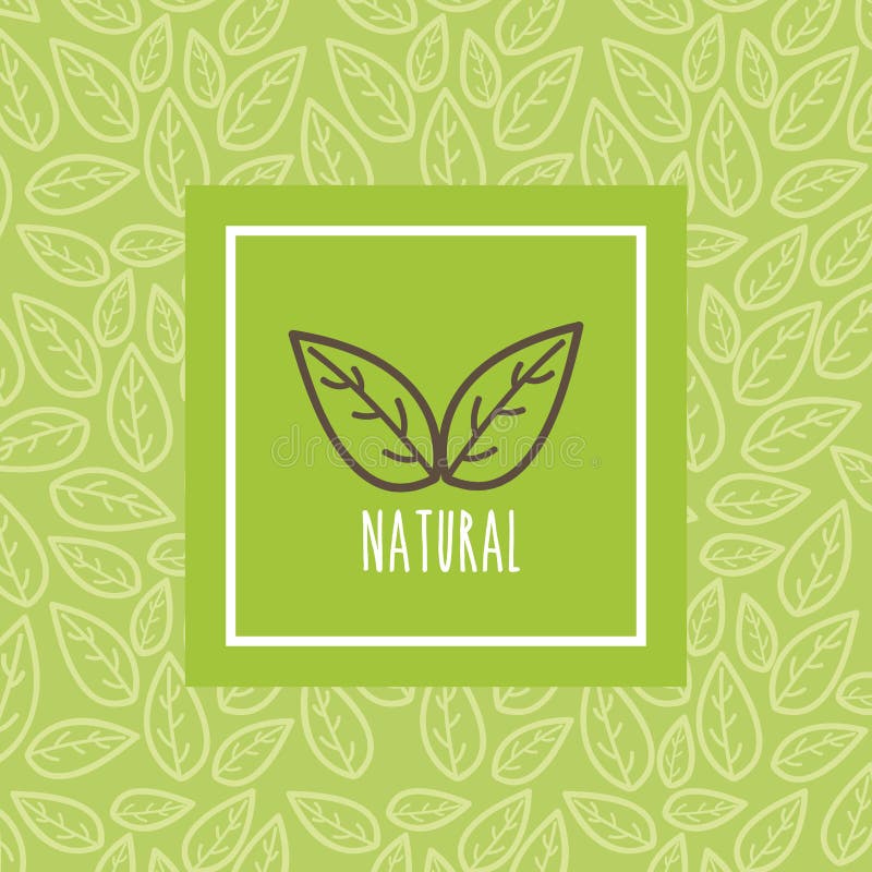 Leaves organic icon stock vector. Illustration of nature - 93311848