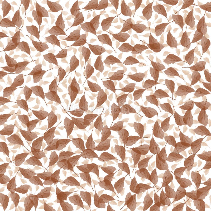 Leaves pattern brown stock image. Image of border, abstract - 64112223