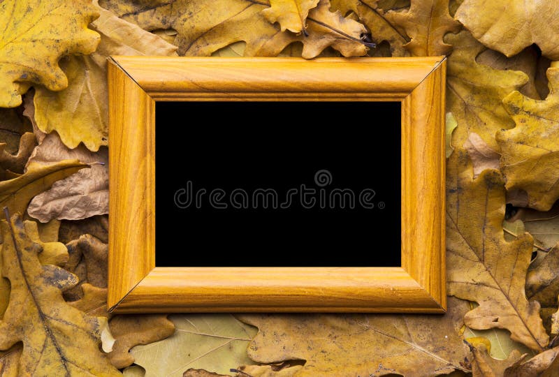 Leaves and photo frame stock image. Image of border, frame - 36410889