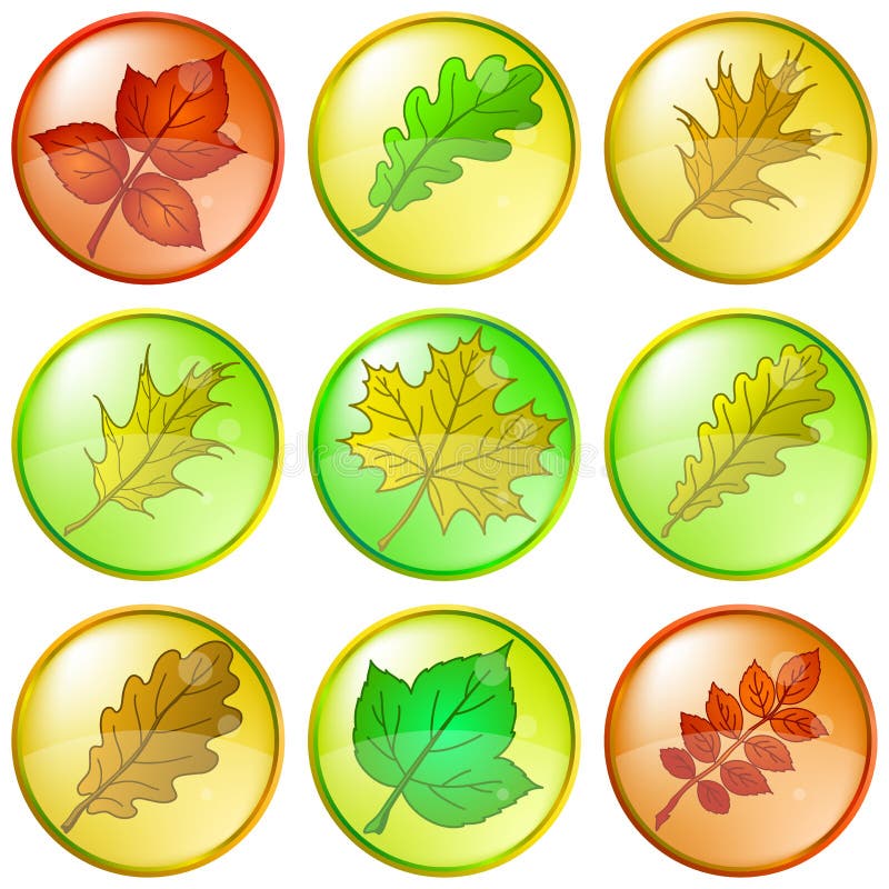 Leaves of plants, buttons stock vector. Illustration of botany - 18079728