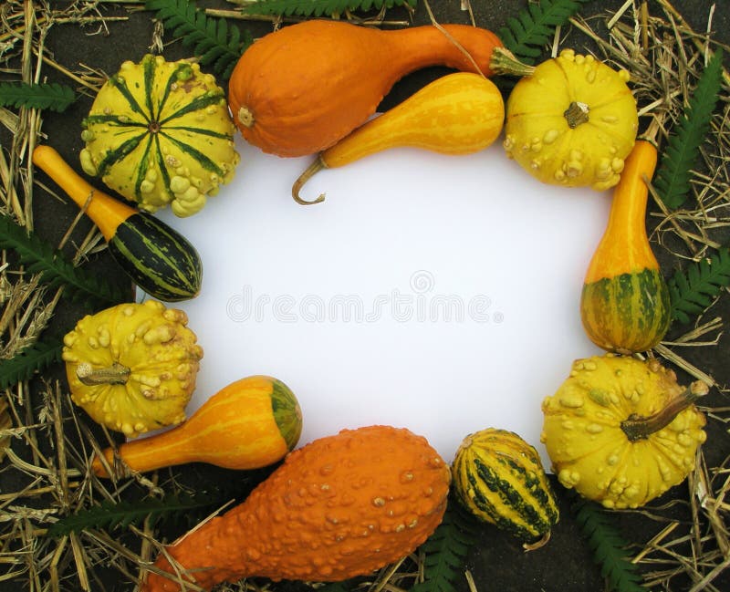 Leaves and pumpkin frame stock image. Image of colored - 21988545