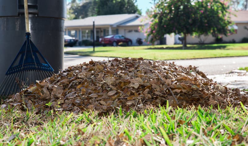 Leaves stock photo. Image of autumn, chores, fall, lawn - 50232146
