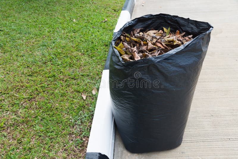 Leaves in recycle bag. stock photo. Image of pollution - 84099582