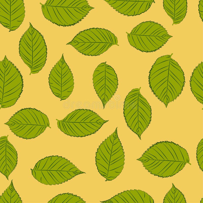 Leaves Seamless Patterns, Elm Leaves, Vector Grafic. 1000x1000 Stock ...