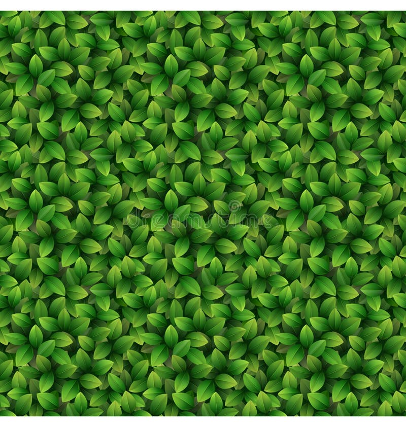 Leaves Seamless Texture Background Stock Vector - Illustration of bush ...
