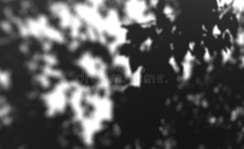 Leaves Shadow Gobo Lighting. Window Light Background Design Element ...
