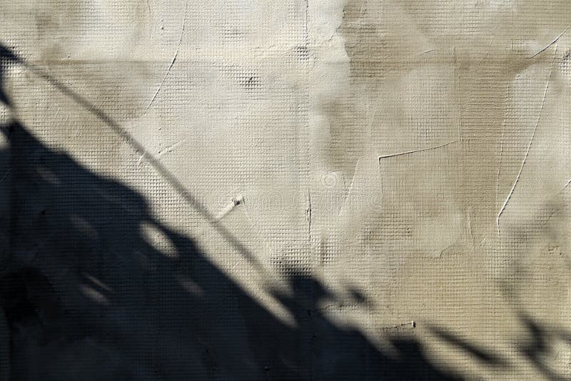Leaves Shadow with Harsh Light on an Old Cracked, Plastered Wall. Stock ...