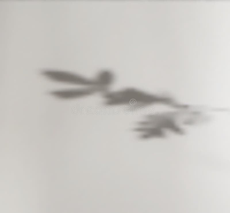 Leaves Shadow Overlay Effect. Window Soft Light Realistic Mockup Stock ...