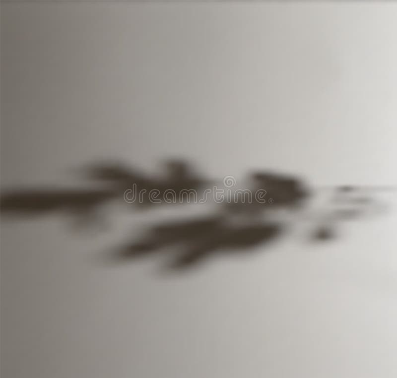 Leaves Shadow Overlay Effect. Window Soft Light Realistic Mockup Stock ...