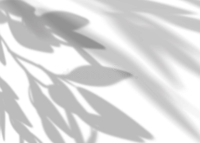 Leaves Shadow Overlay, Isolated Branches Leaves..Leaves Shadow Overlay ...