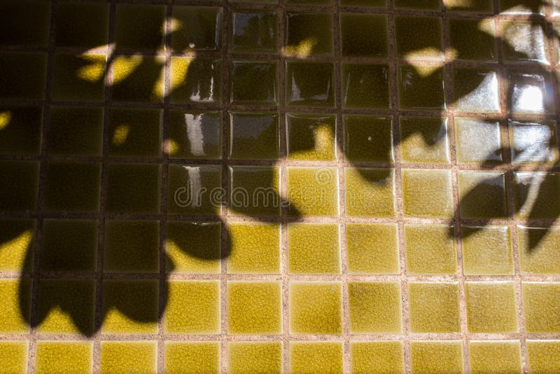 Leaves Shadow on Tile Floor Stock Image - Image of texture, tile: 47805871