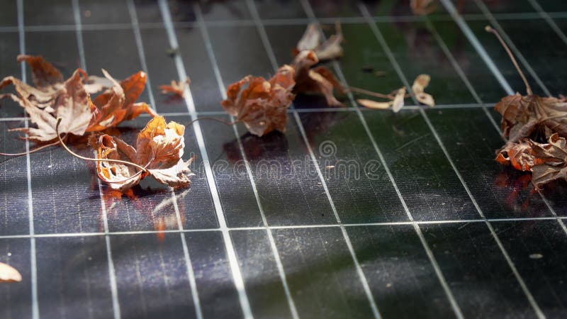 Leaves on Solar Panels Moving in the Wind in Fall Stock Video - Video ...