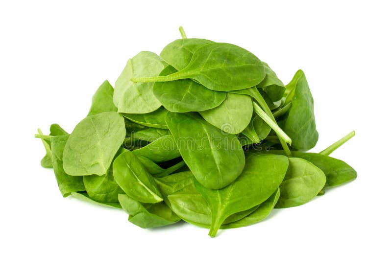 Spinach Isolated stock image. Image of heap, macro, cuisine - 29525769