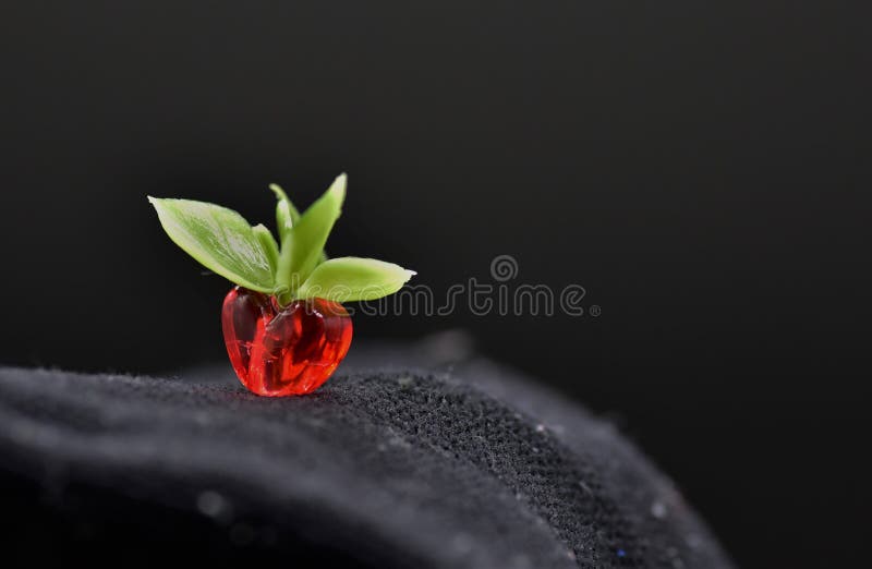 Leaves are Sprouting from a Red Heart Stock Photo - Image of hobby ...