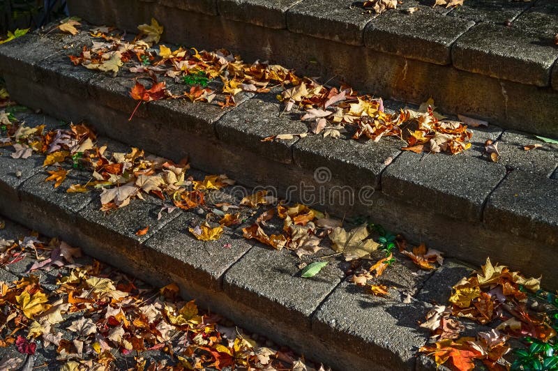 Leaves on Steps stock image. Image of nature, seasons - 45454363