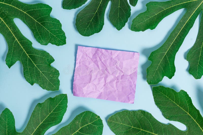 Notepaper Placed Above Plain Table between Green Leaves. Leafage ...